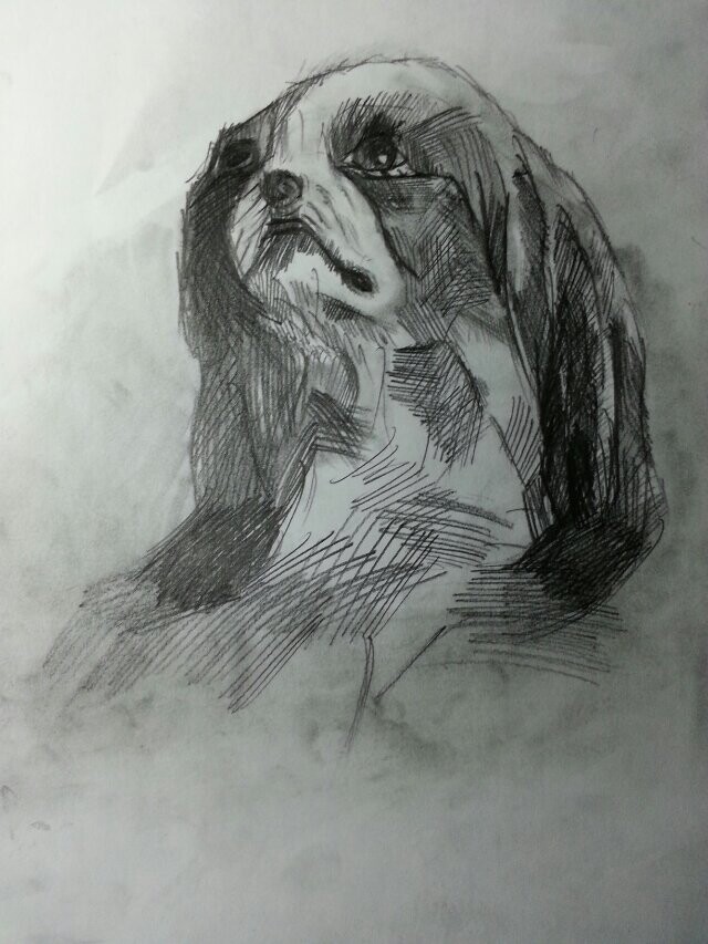 ArtStation - My Drawing Collection in Junior High School Years