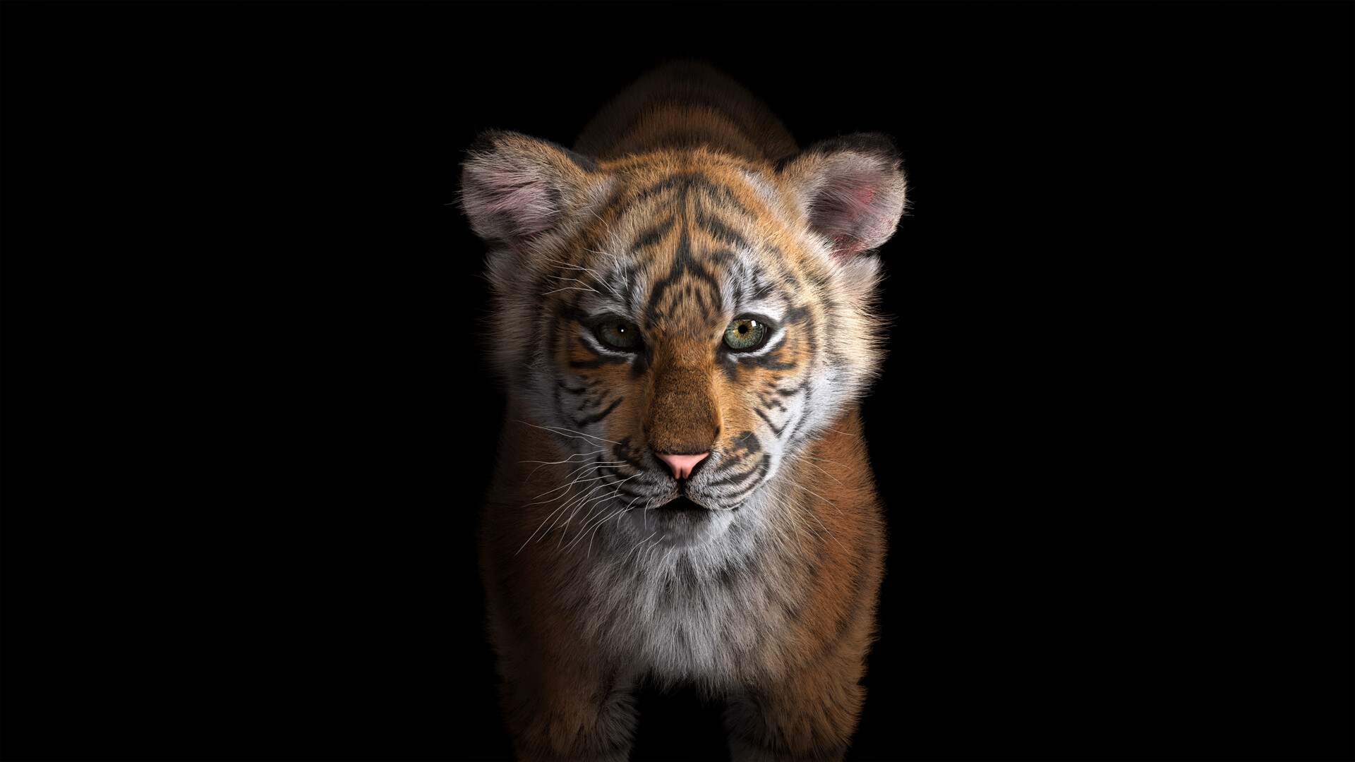 ArtStation - Tiger cub