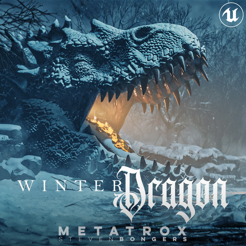 Steven Bongers - Winter Dragon
