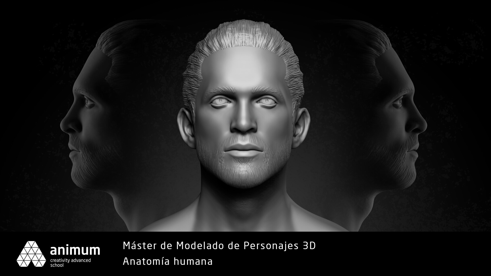 ArtStation - Human Anatomy Study