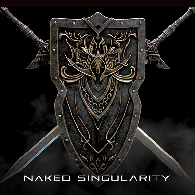 Naked Singularity Studio