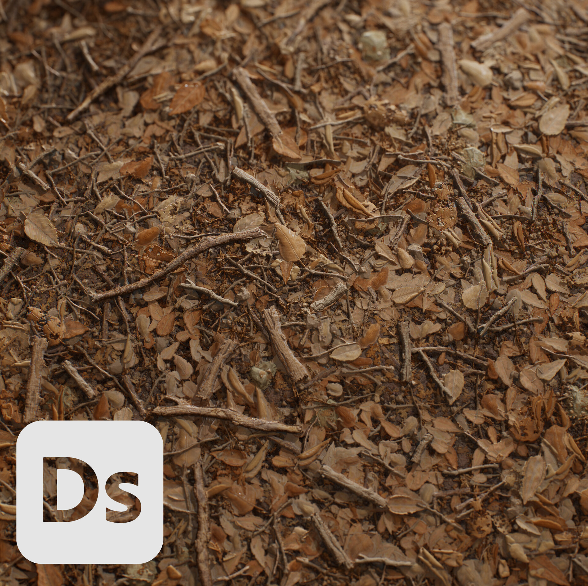 ArtStation - Dirt Ground With Leaves