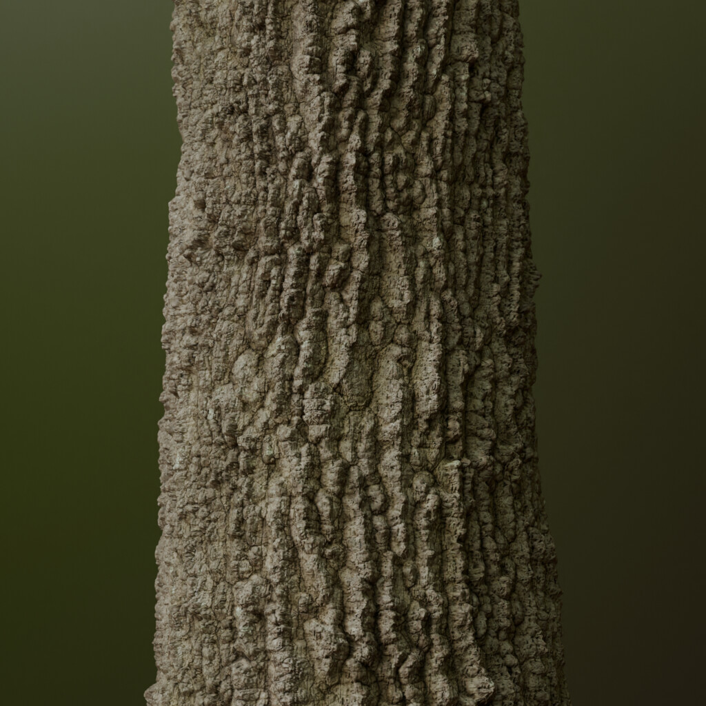 ArtStation - Substance Designer - Oak Tree Bark