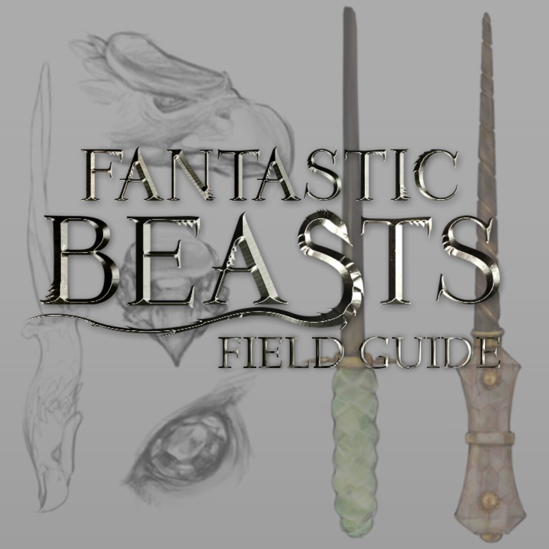 Della R. - FBFG— Wand Concepts (personal project)