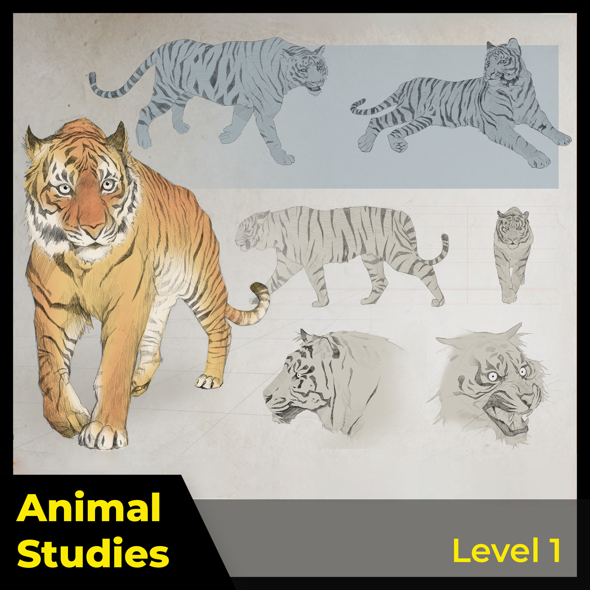 ArtStation - Animal Studies