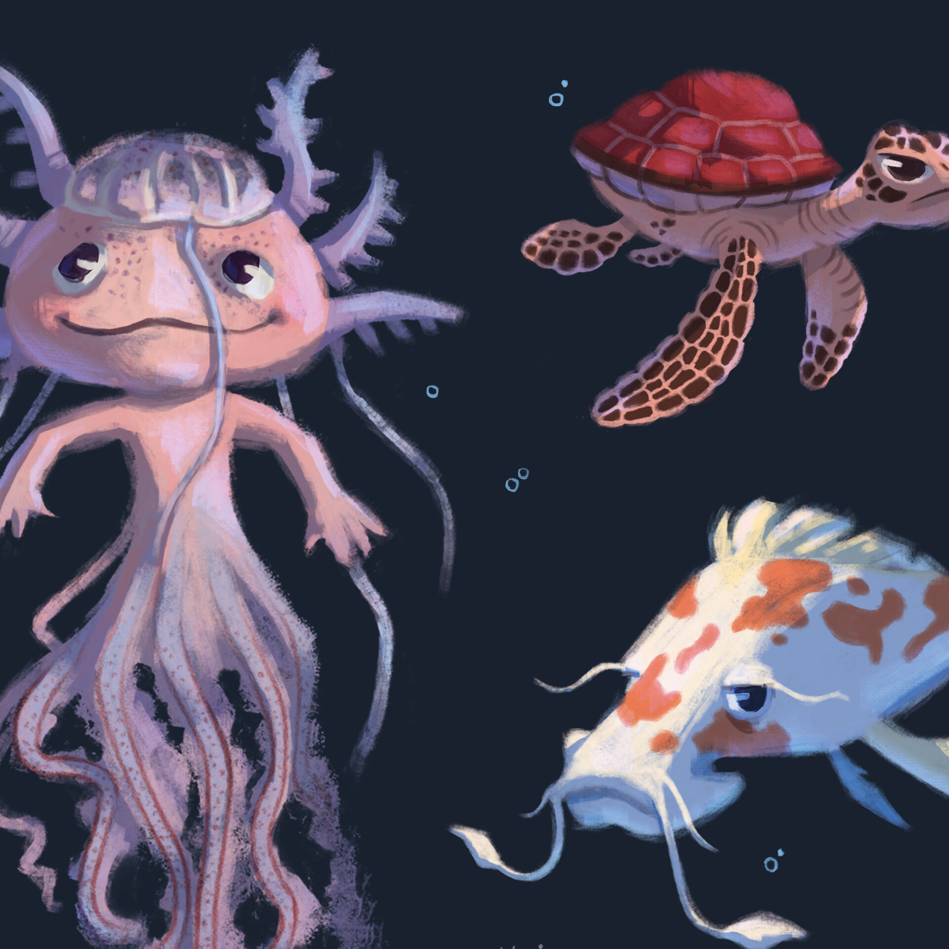 Mapan - Meet at the Nautilus