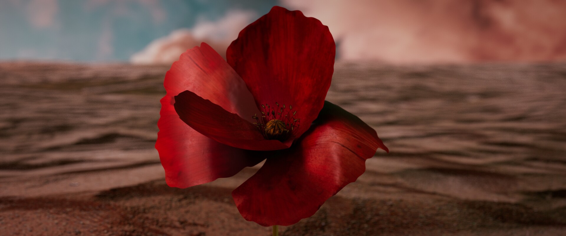 ArtStation - THE LASTING PETALS OF PALESTINE