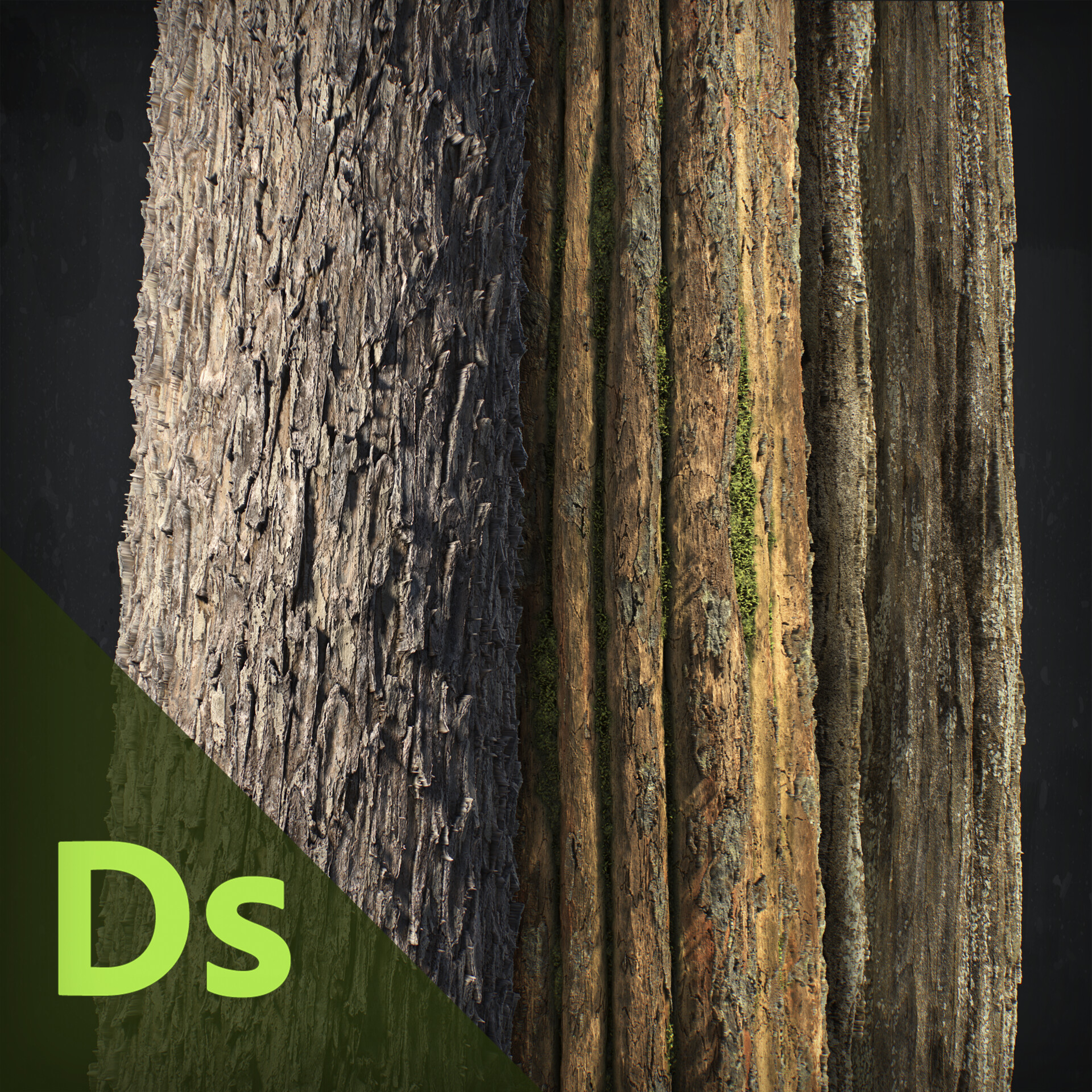 ArtStation - 3 Set PBR Wood Bark Procedural Material Studies