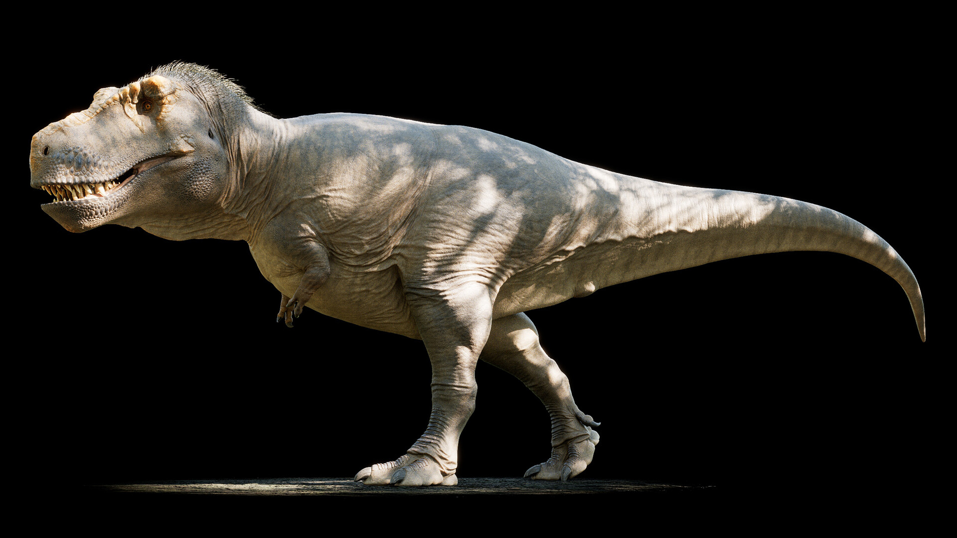ArtStation - Tyrannosaurus rex