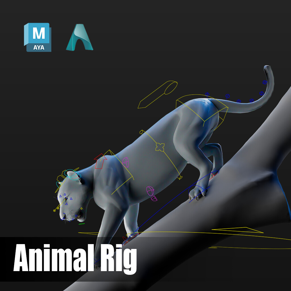 ArtStation - Animal Rigging