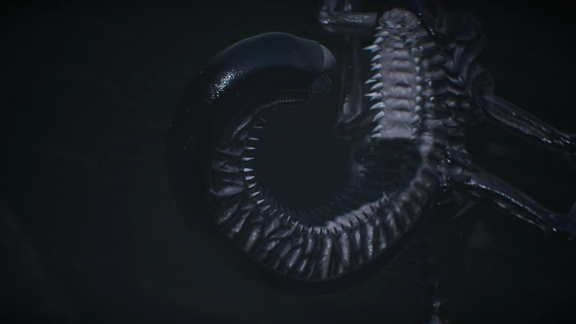 ArtStation - Xenomorph - Concept/Modeling/Rig/Animation