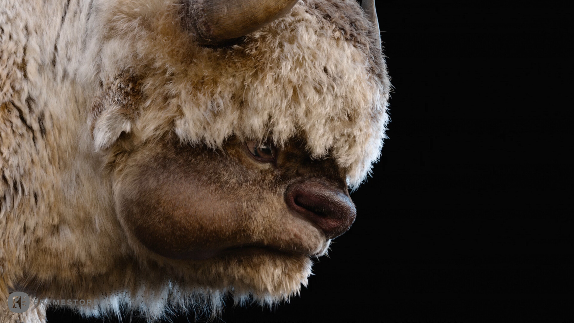 ArtStation - Appa - Avatar: The Last Airbender