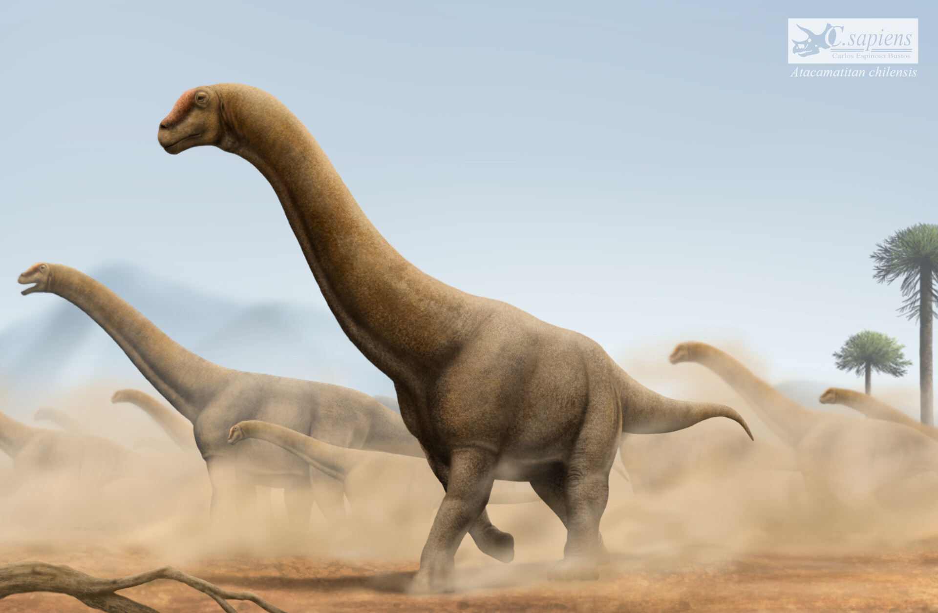 ArtStation - Paleofauna of Chile (2021-2024)