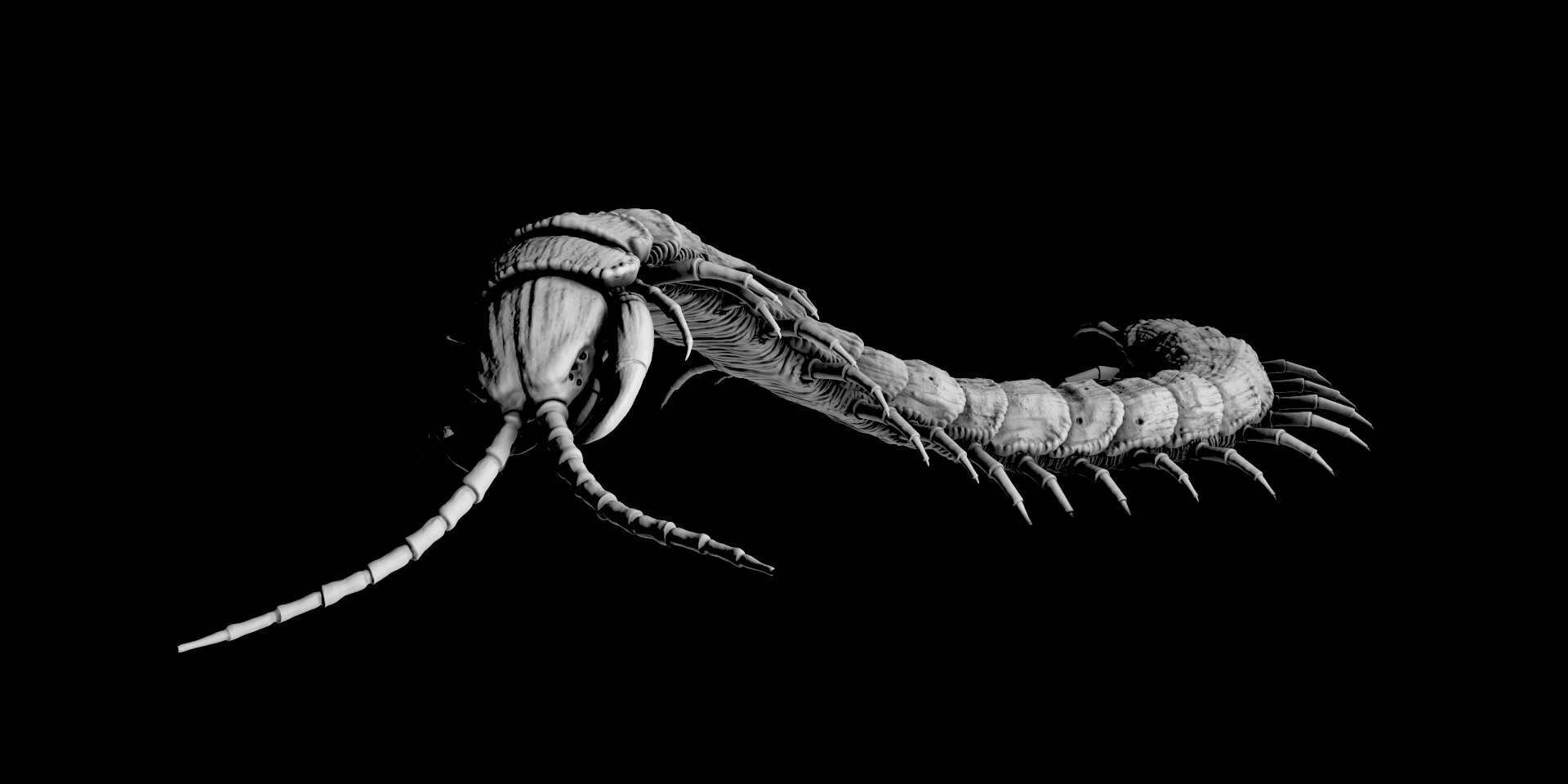 ArtStation - Noir Centipede