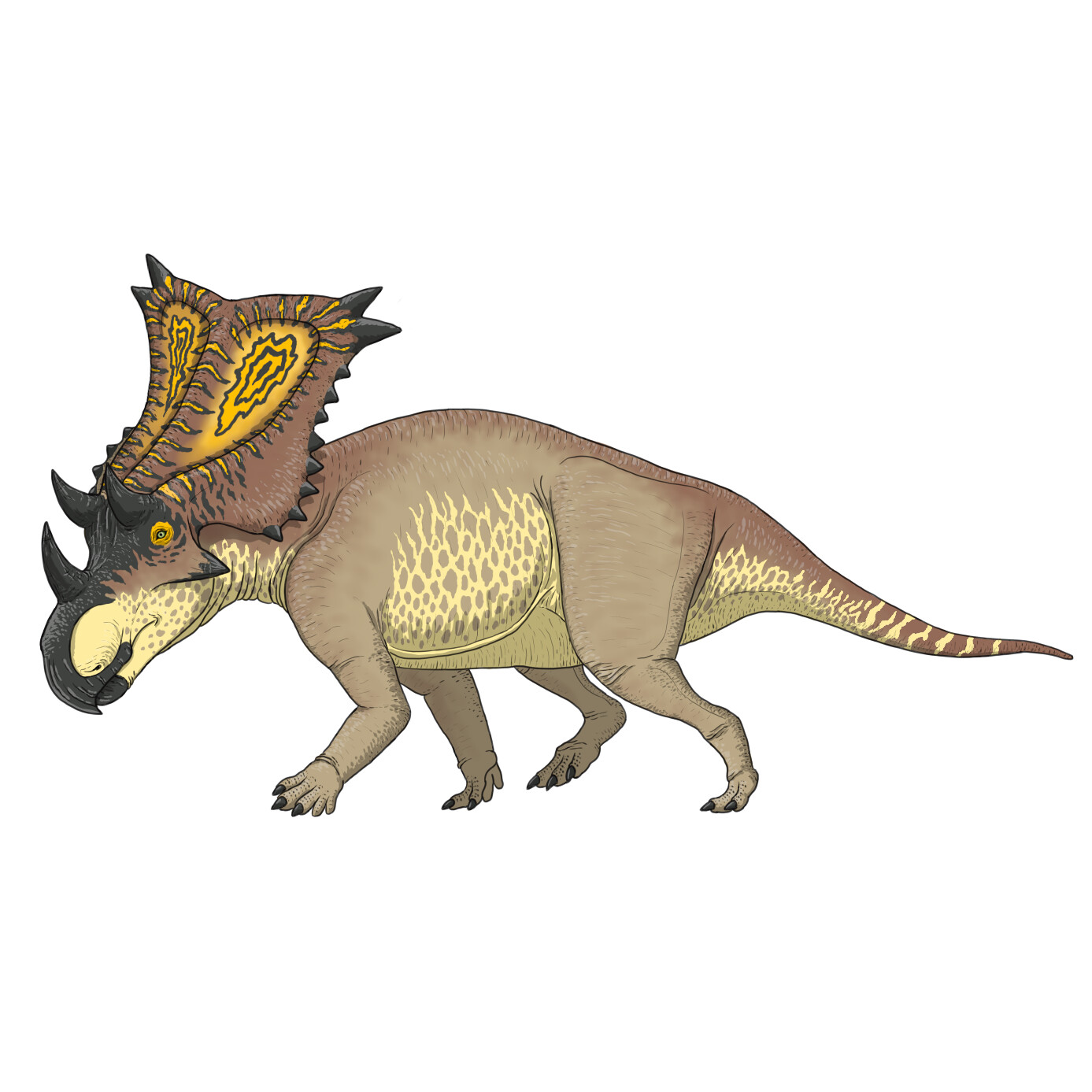 ArtStation - Ceratopsian Artwork