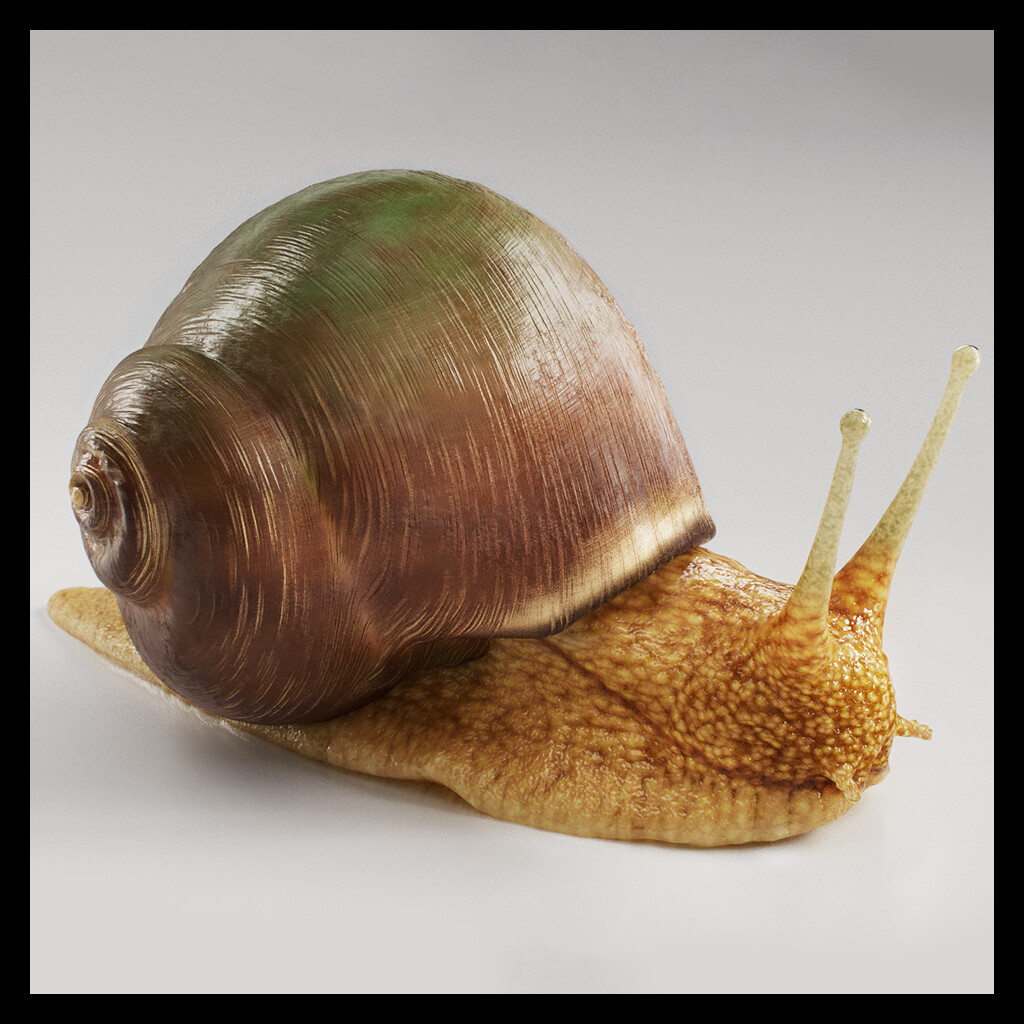 ArtStation - Snail [Maya - shader nodes]
