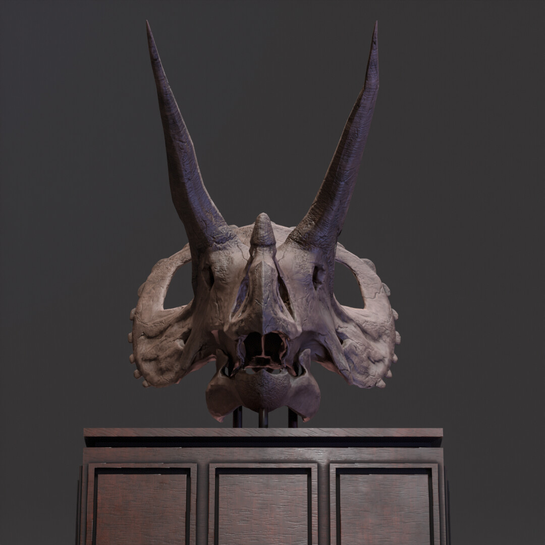 ArtStation - Torosaurus Skull