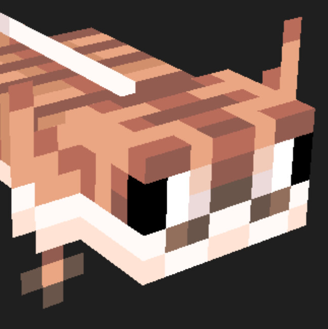 ArtStation - [Axolotl]Textures for Minecraft mods