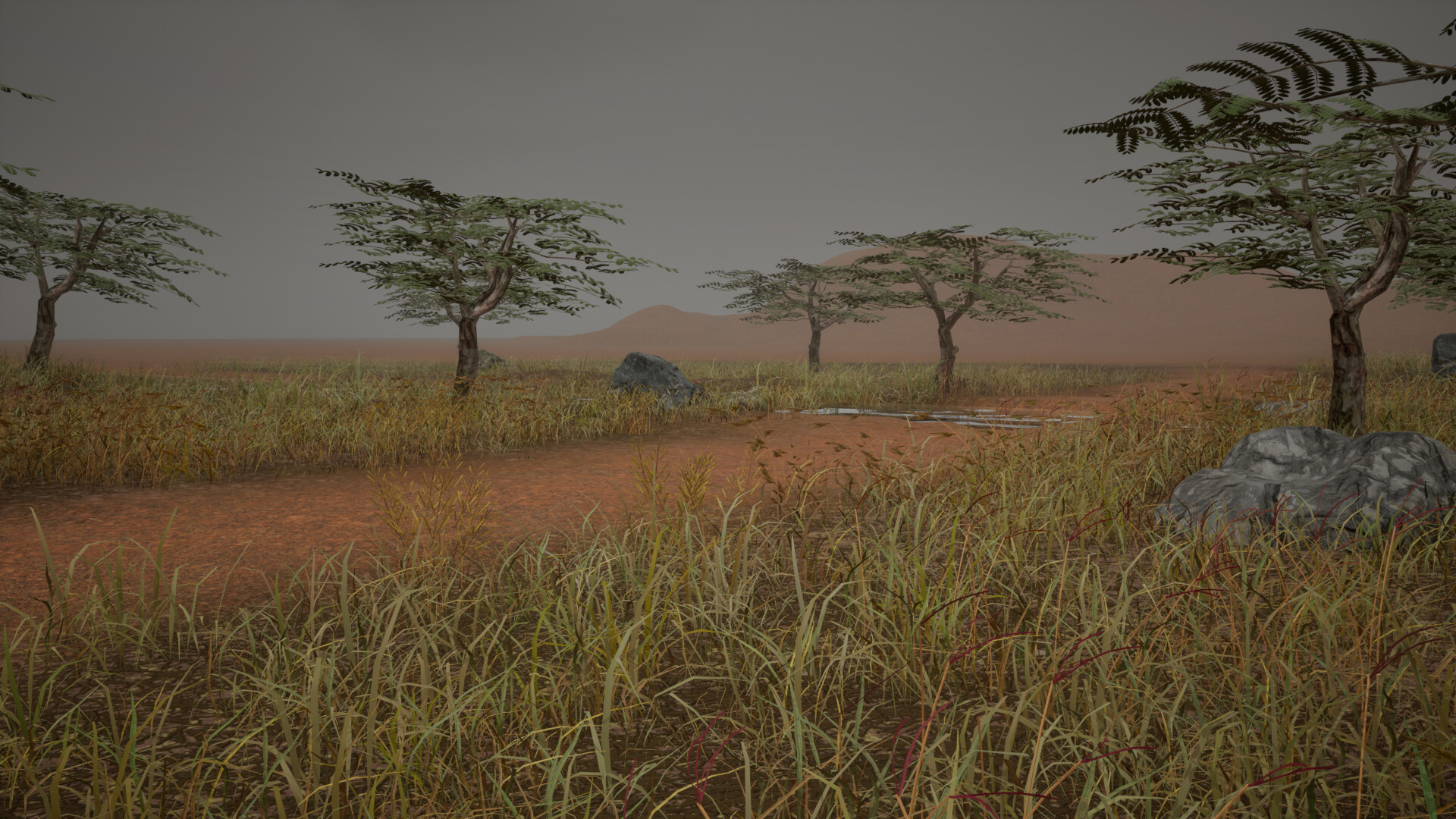 Sigrid Amazona - Savannah Field