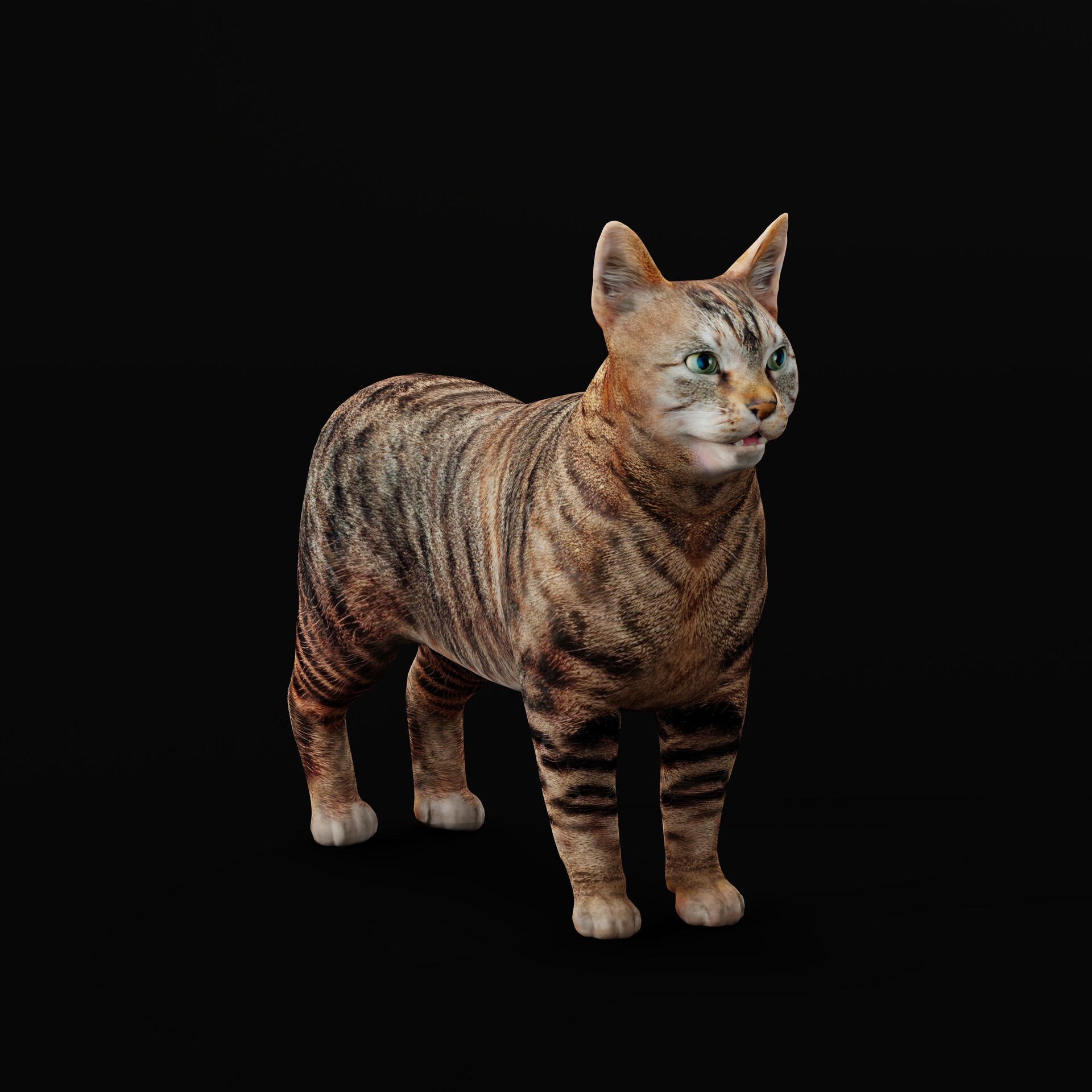 ArtStation - Manx Cat