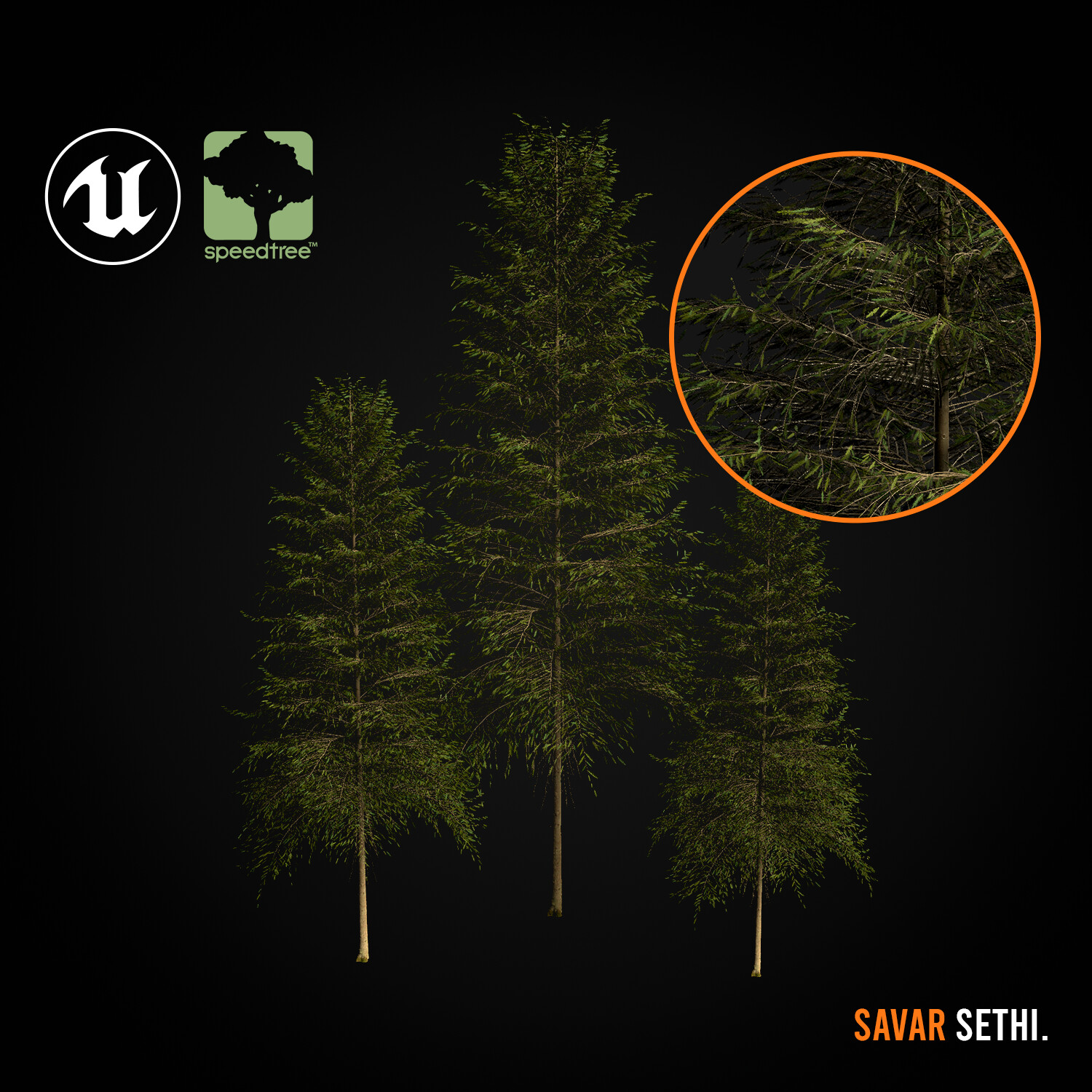 ArtStation - Spruce Tree | SpeedTree Modeling