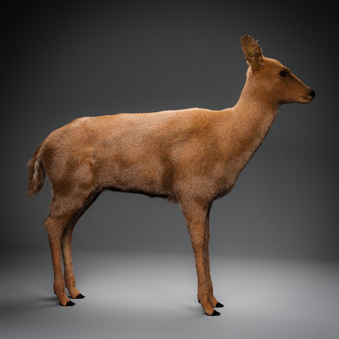 ArtStation - Deer fur