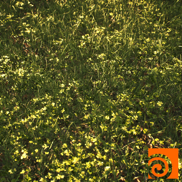 ArtStation - Procedural Field Grass