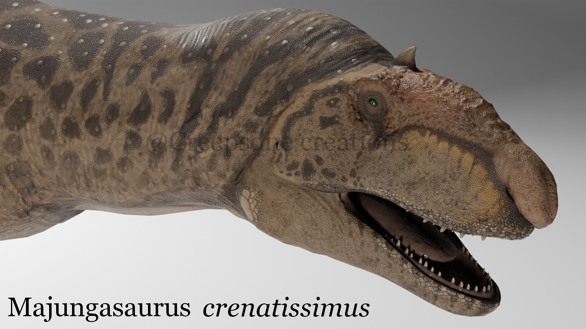 ArtStation - Majungasaurus crenatissimus by Creepsone