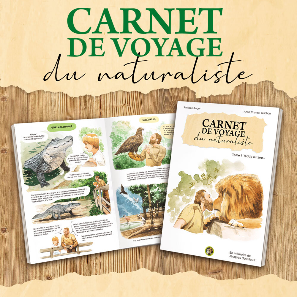 ArtStation - Carnet de Voyage du naturaliste