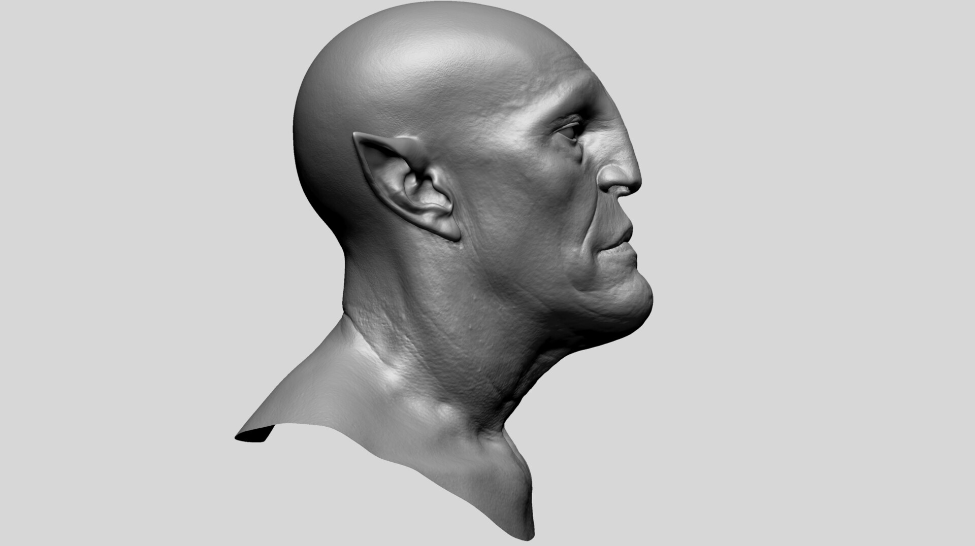 ArtStation - 3DScanStore/Exomorphs - Zbrush Turntable (50 Head Models)