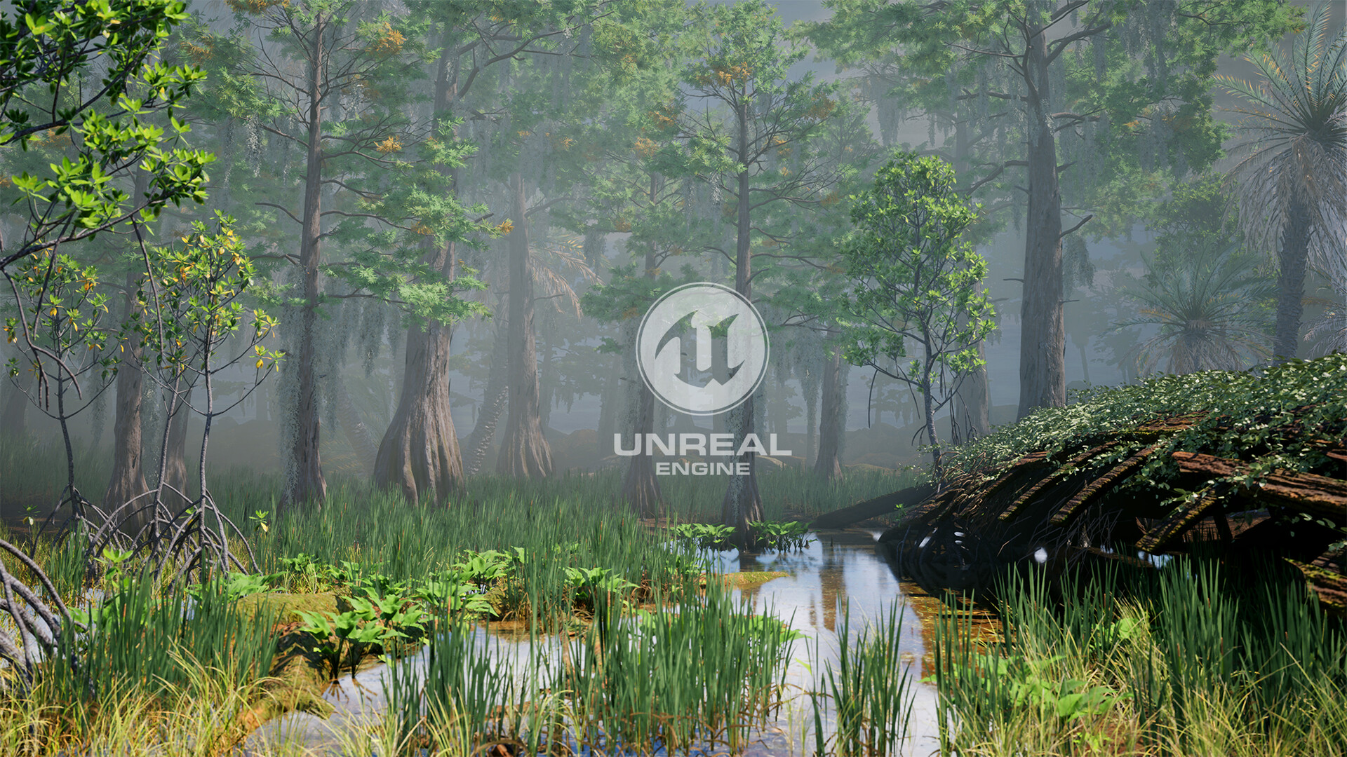 ArtStation - Swamp Environment - UNREAL ENGINE