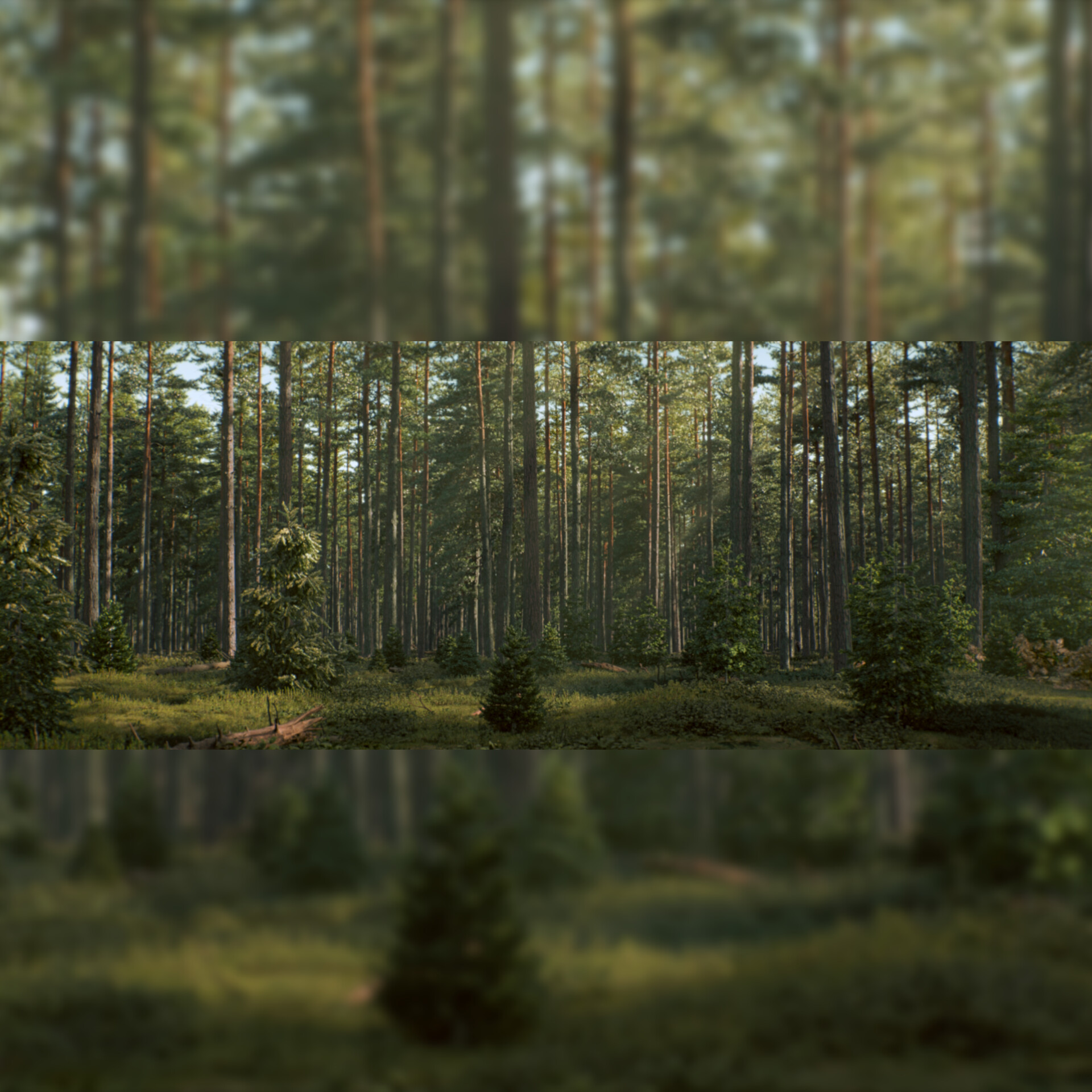 ArtStation - Pine Forest