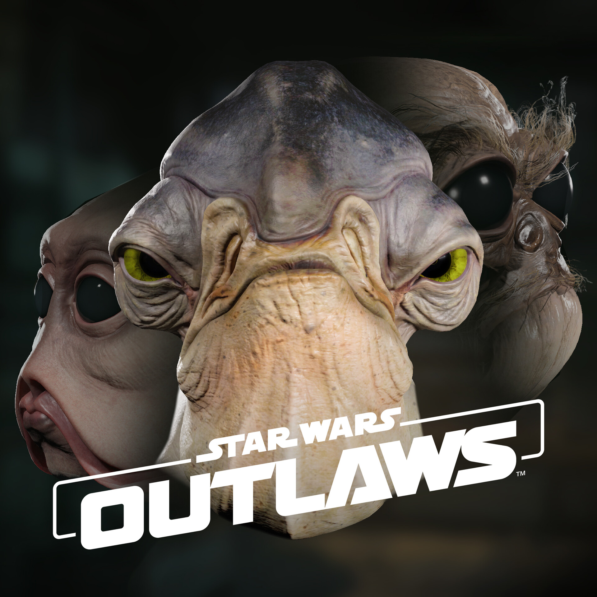 ArtStation - Star Wars Outlaws - Alien Heads
