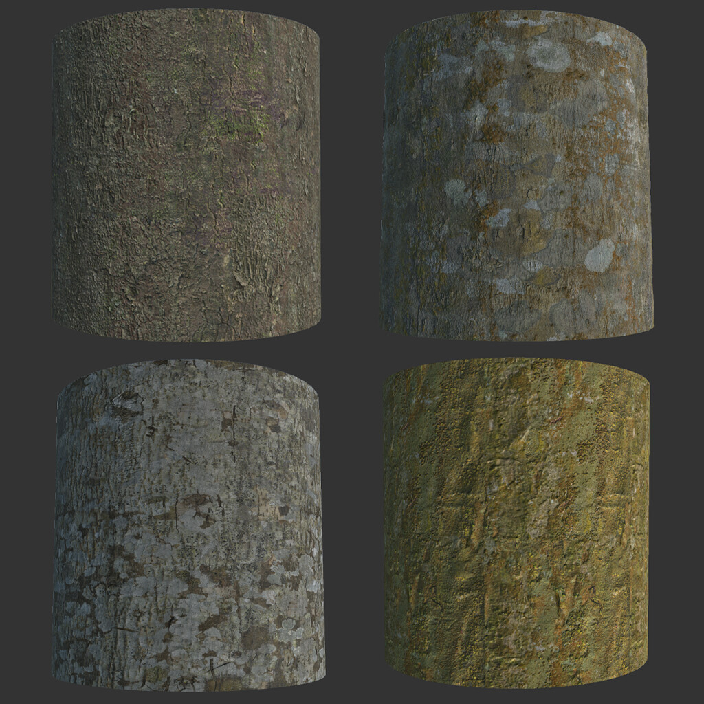 ArtStation - Tree bark photogrammetry and PBR maps #2