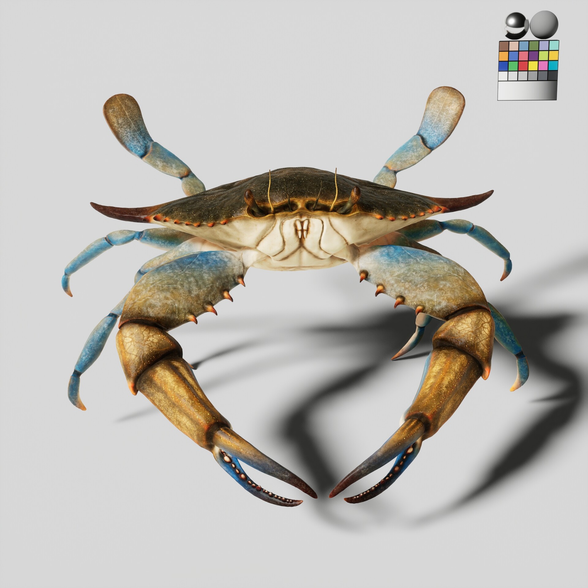 ArtStation - Crab