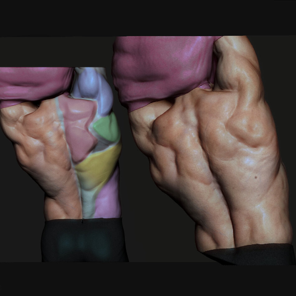 ArtStation - Back Anatomy - Timelapse [Zbrush]
