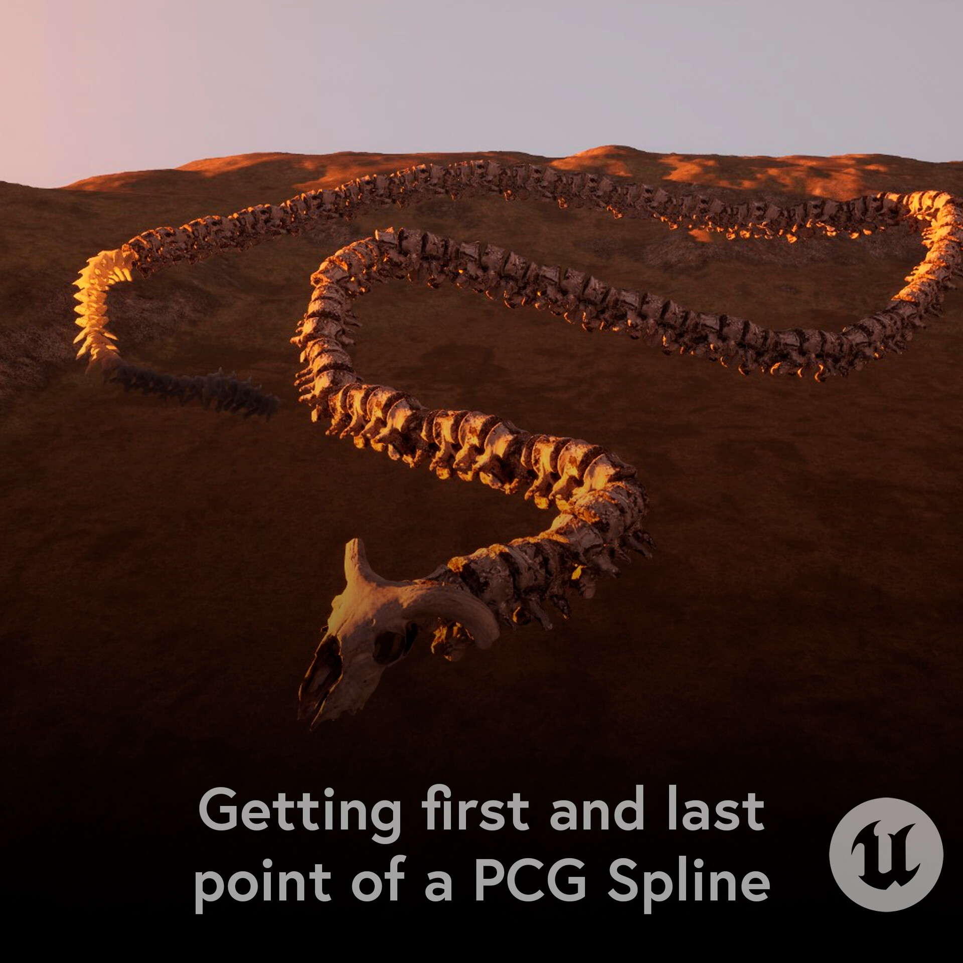 ArtStation - Getting first and last point of a spline using PCG