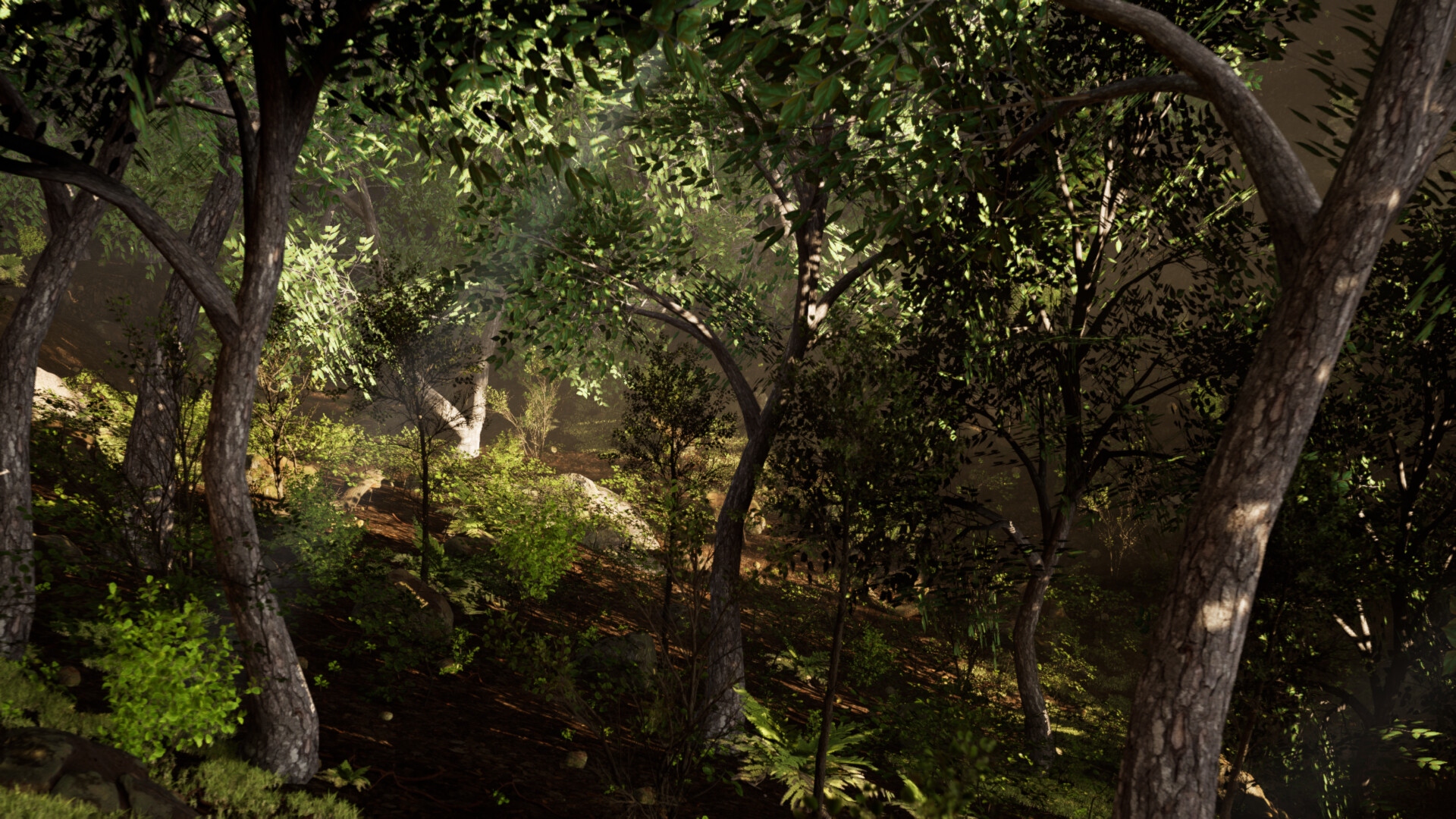 ArtStation - Forest Environment || Unreal Environment || Unreal Work
