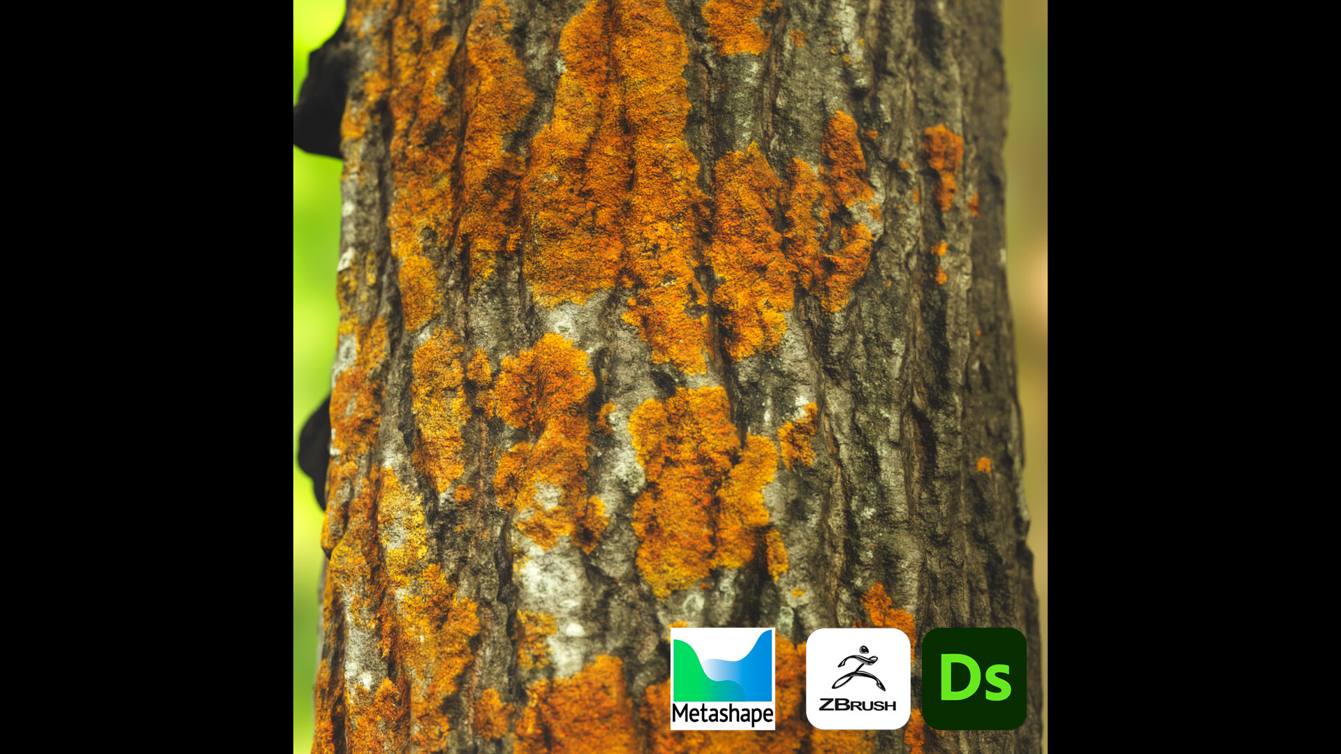 ArtStation - Flourish Tree Scan