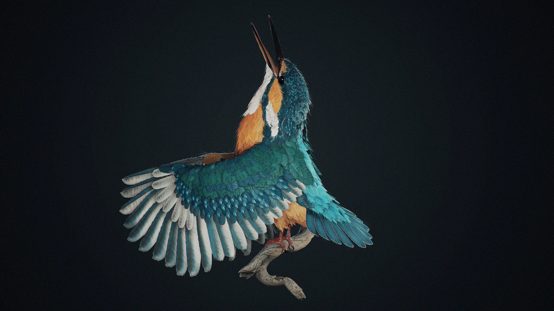 ArtStation - Kingfisher