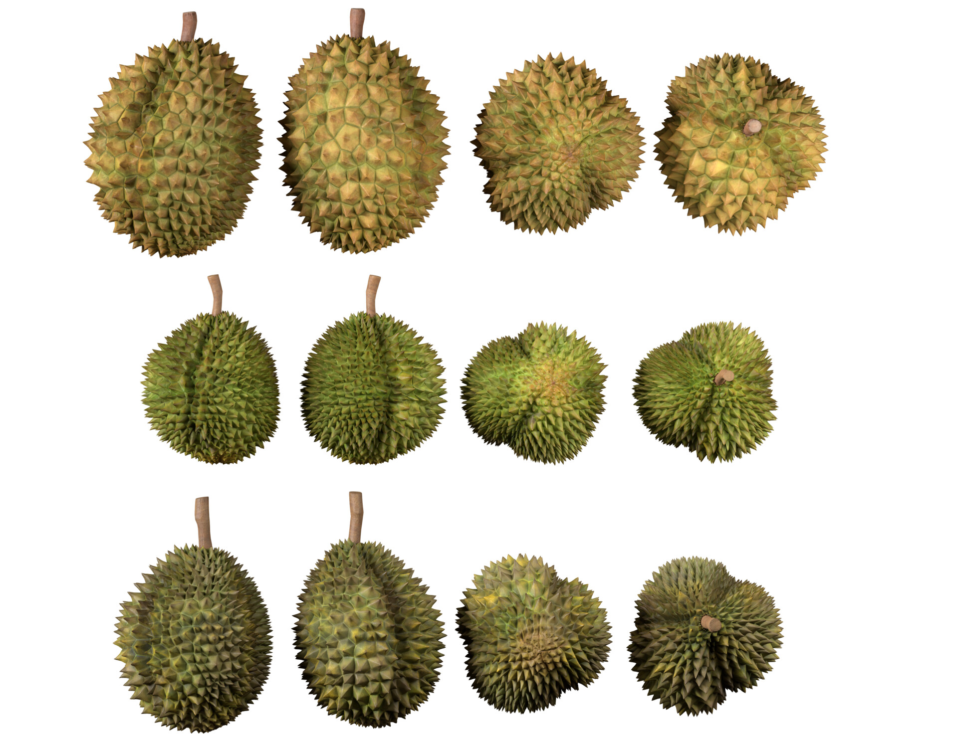 ArtStation - Durian.