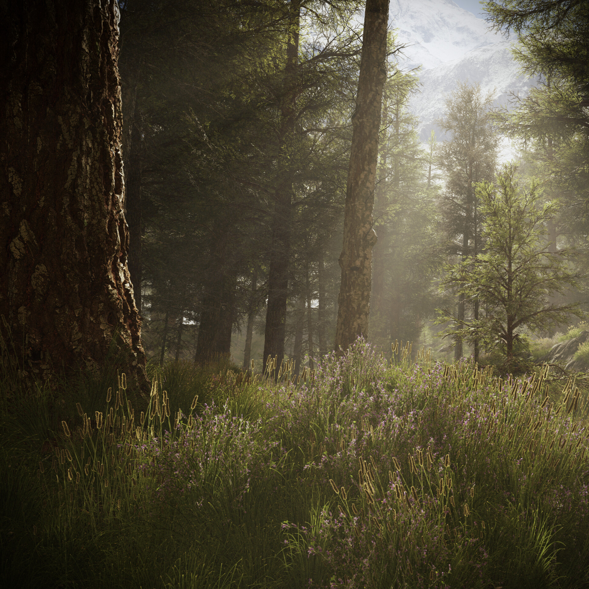 ArtStation - Forever Untamed