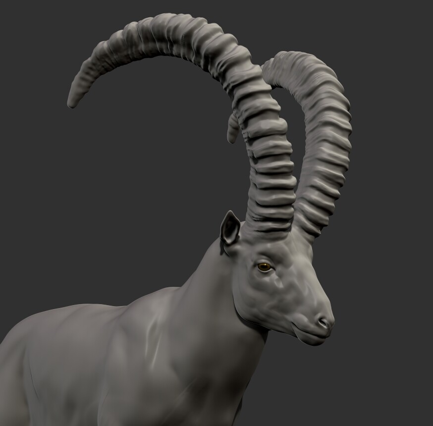 ArtStation - Alpine Ibex WIP
