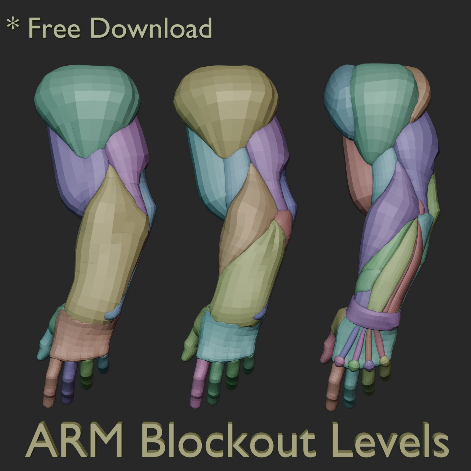 ArtStation - Arm Anatomy Blockout Levels *Free Download