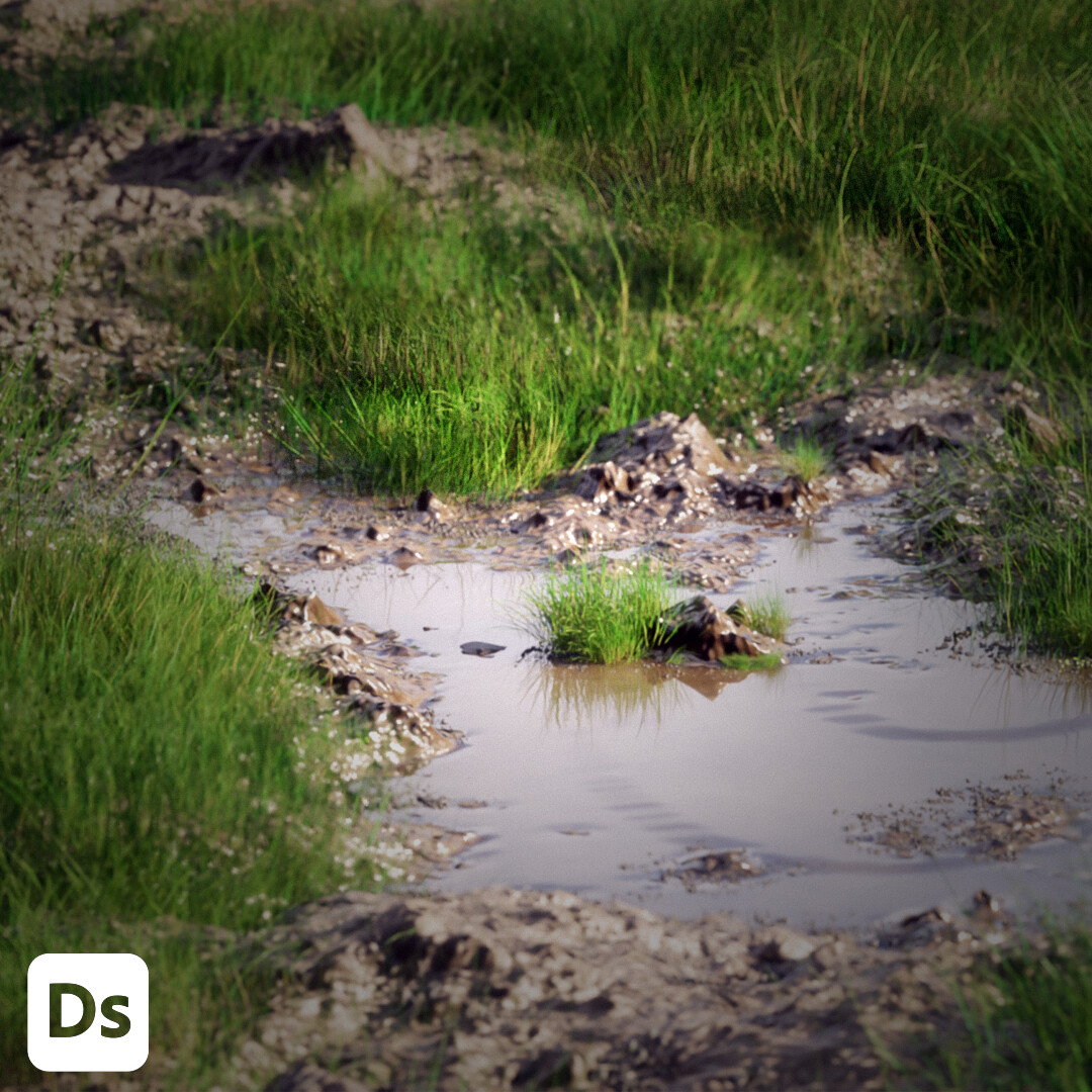 ArtStation - Muddy Ground with Puddles and Grass