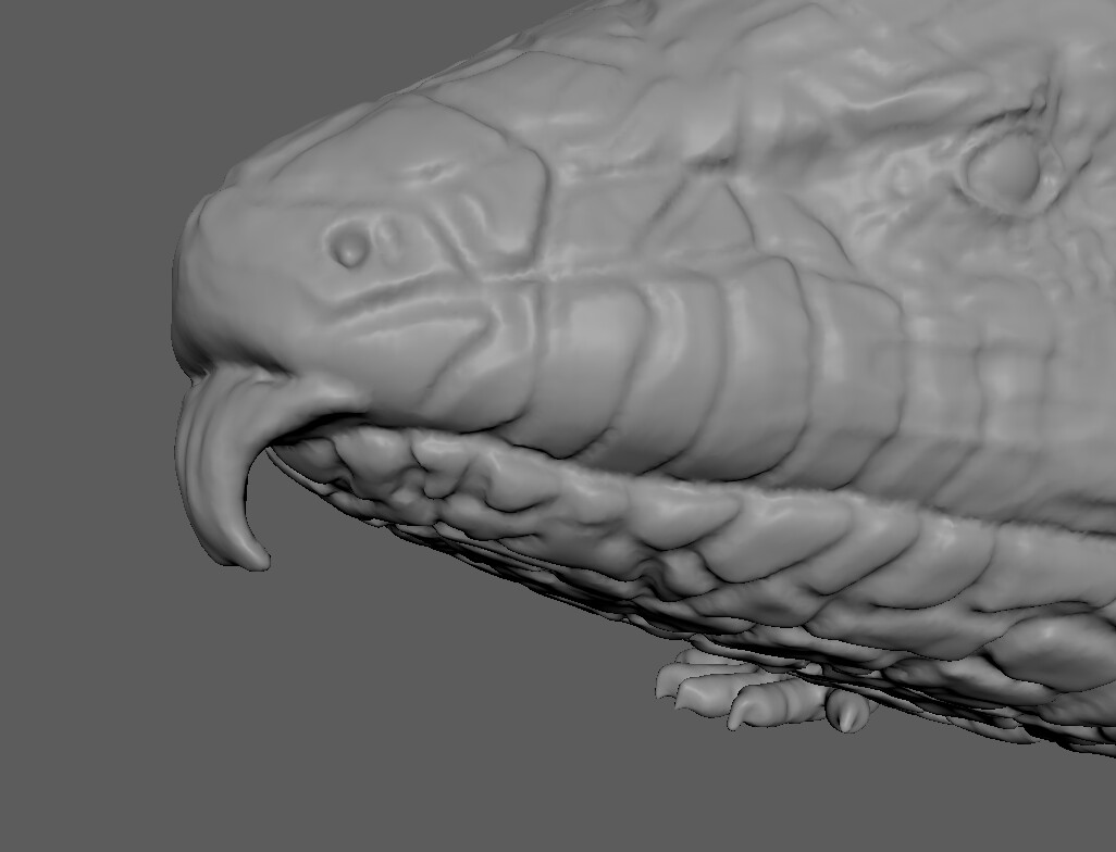 ArtStation - Shingleback Bobtail Lizard as part of Asset Kit