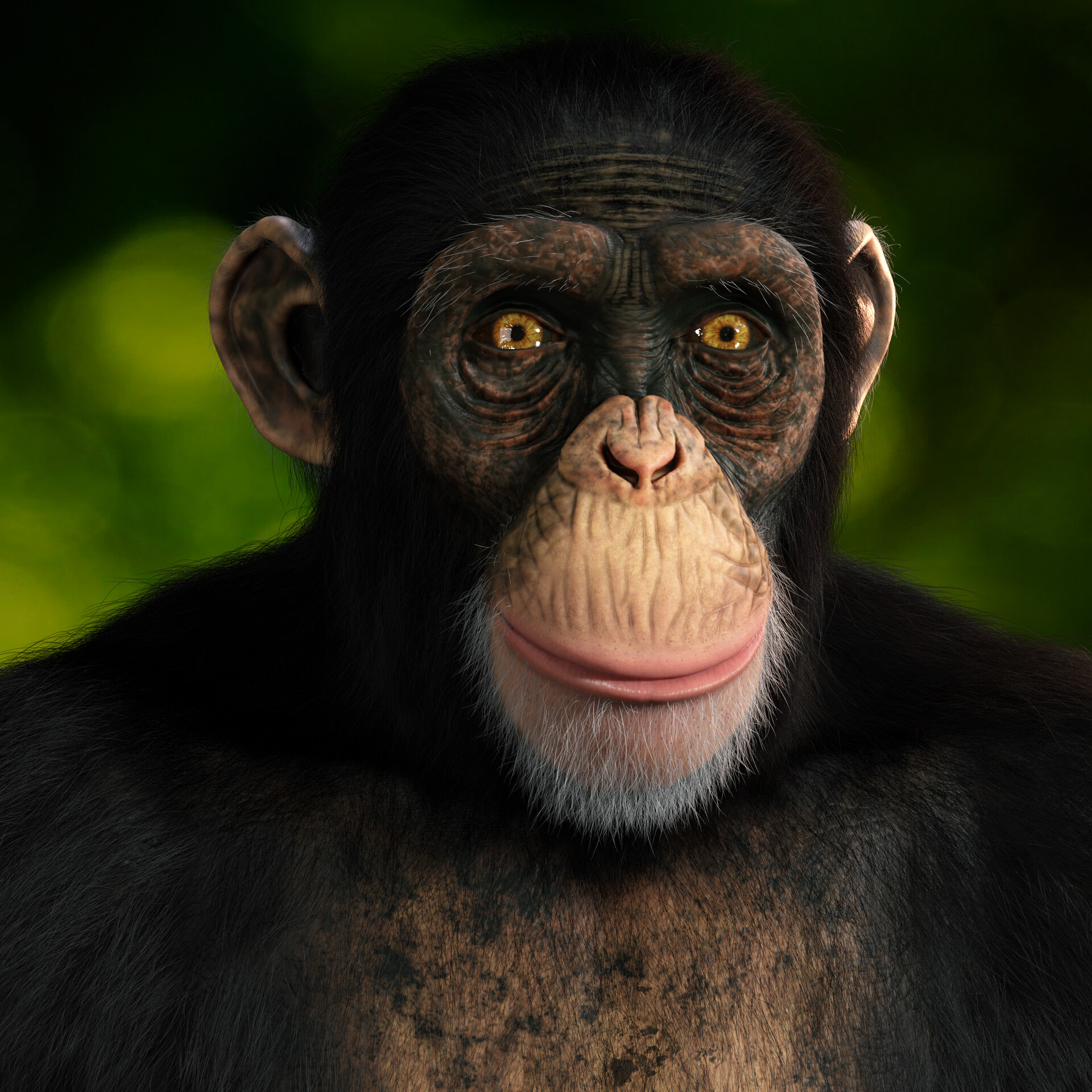 ArtStation - Chimpanzee
