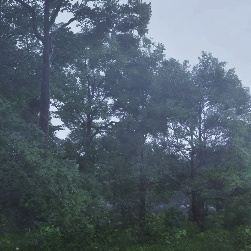 ArtStation - Thunderstorm | Broadleaf Trees Biome | UDS | UE5.4 | Ultra ...