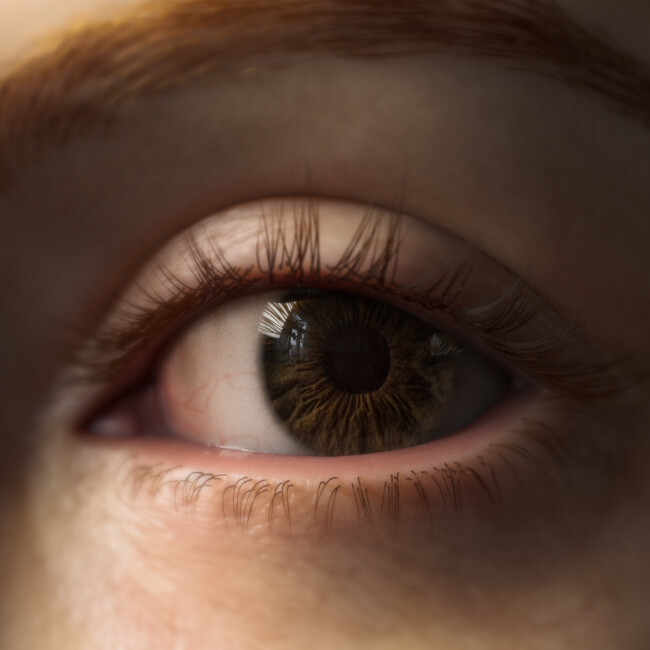 ArtStation - Realistic Eye Render (Arnold)