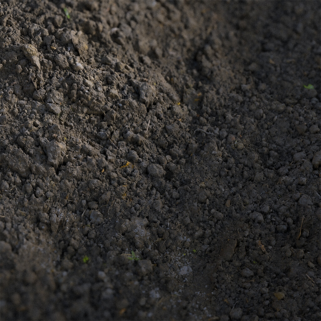 ArtStation - Soil Material Scan